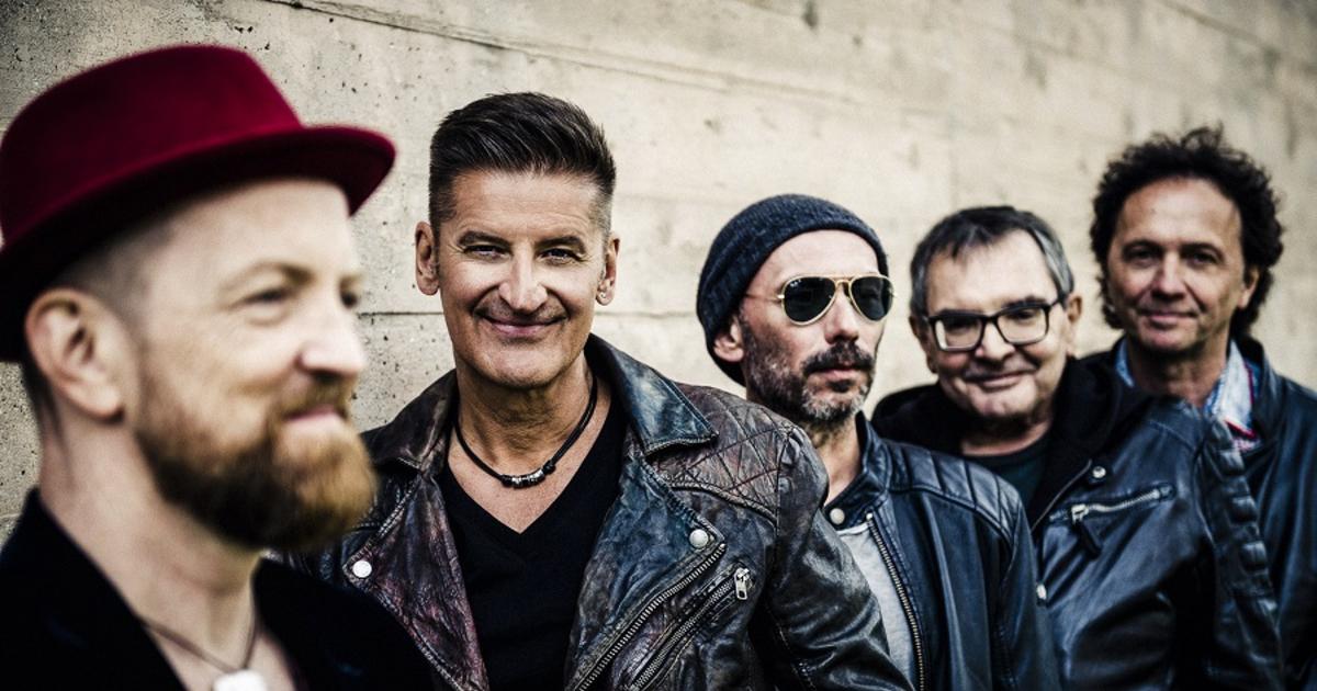 Hartmut Engler schwere Katzenverletzung!