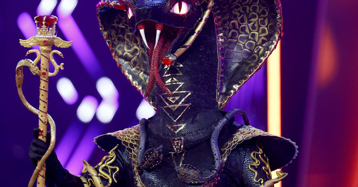 "The Masked Singer": Black Mamba - Fans erkennen Fehler